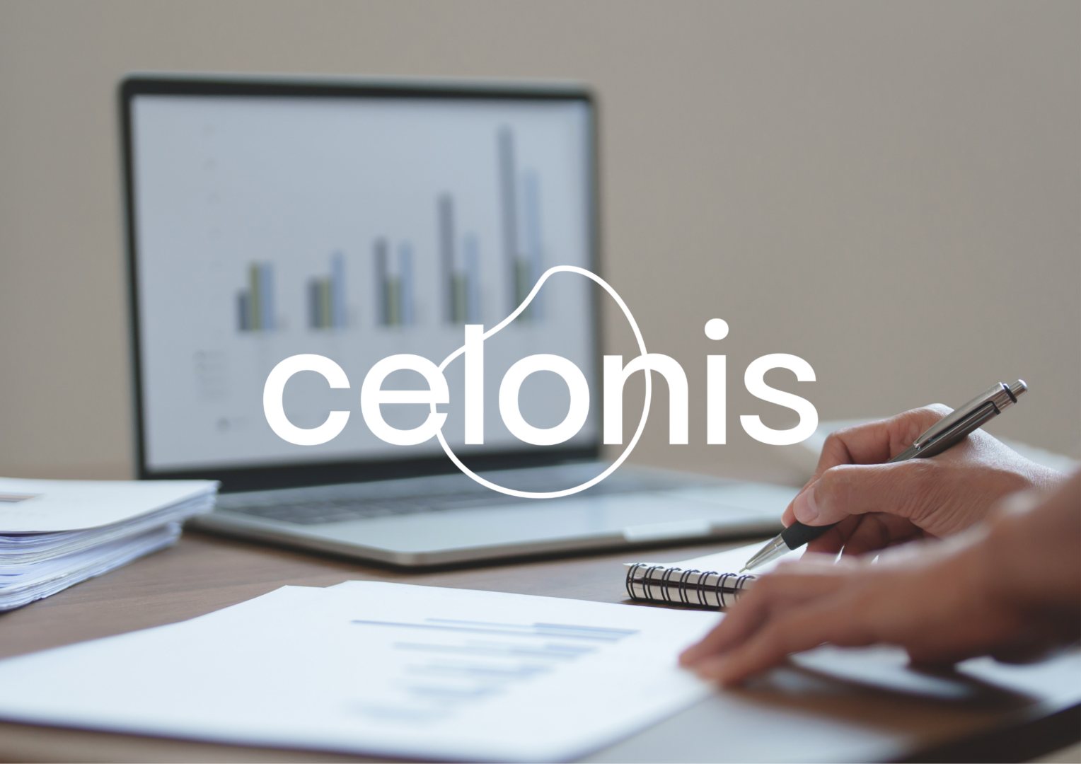 Celonis Payment Term Checker - Apolix